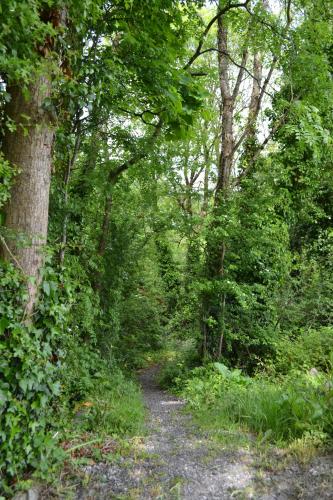 Riverbank Cottages - Scarriff, Ireland - Updated 2026: Prices and ...