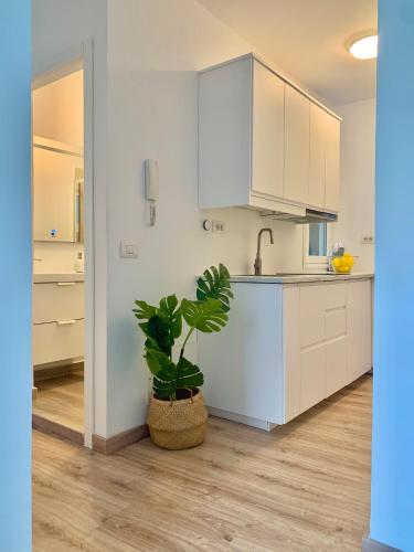 Apartamento El Malecon - Santa Cruz de La Palma