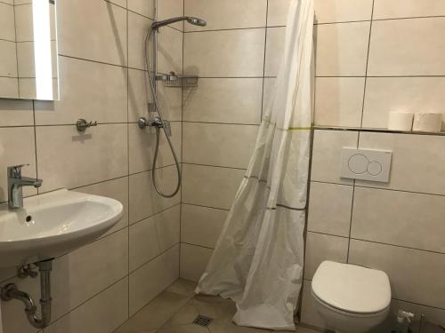 Monteurwohnung 1 - Ingelheim am Rhein