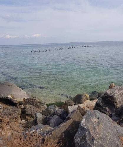 Vip Apartment In The Very Center Of Odessa With Sea View - Odesa