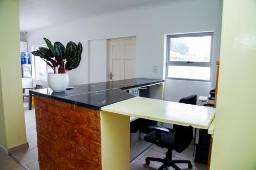 Relaxing Guest House In The Heart Of Ndabeni - ケープタウン