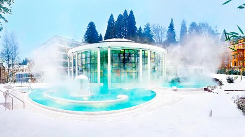 Baden-badenspaapartment - Baden-Baden