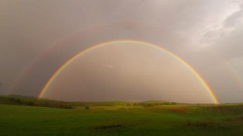 Parabola In Nature Examples