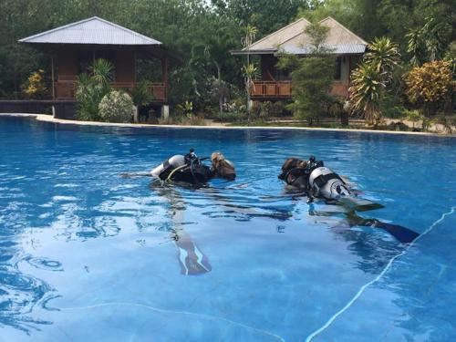 5 Best Dive Resorts In Manado, Indonesia | Trip101