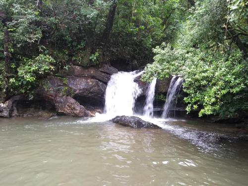 Top 9 Homestays In And Near Sringeri, India - Updated 2024 | Trip101