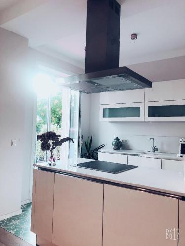 Luxus 5 Zi-wohnung + Balkon In Top-lage Ffm+klima - Frankfurt