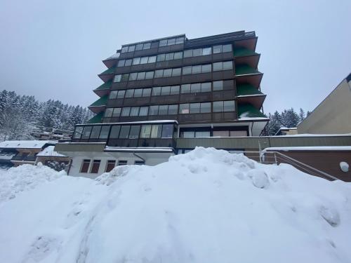 Residence Belle Hutte 2 - La Bresse