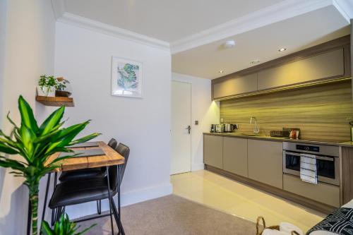 3 Cocoa Suites (Parking Included) - York