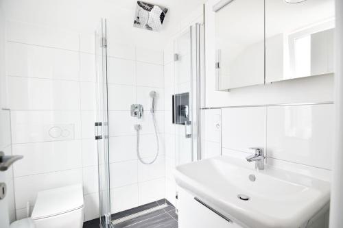 Moderne Ferienwohnung Mit Sat-tv & Wlan - Cologne