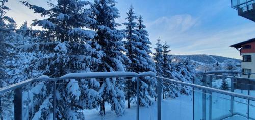 Apartman Nerudovka D 104, Finska Sauna, Garazove Stani - Oberwiesenthal