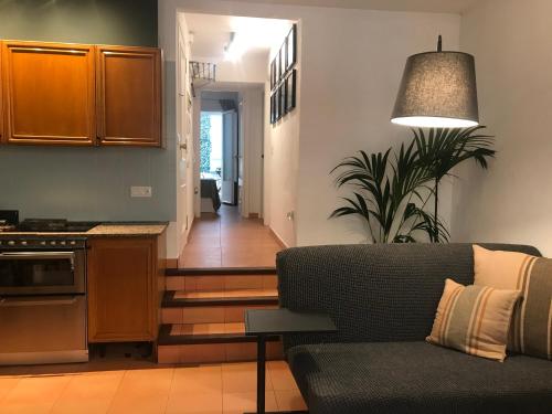 Apartamento Con Encanto Y Terraza En Barri Vell De Girona, El Cul De La Lleona - Girona