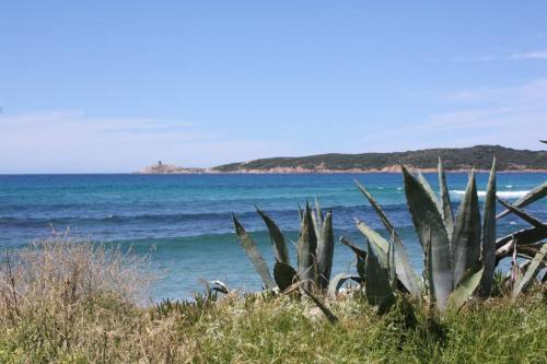 Grande Maison Au Cadre Verdoyant Au Centre Village - Cargèse