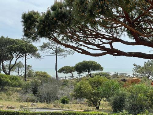 Praia Da Falesia Alfa Mar Albufeira - Vilamoura