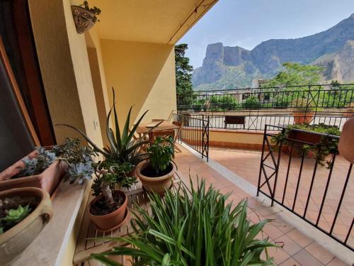 La Locanda Del Cedro - Palermo
