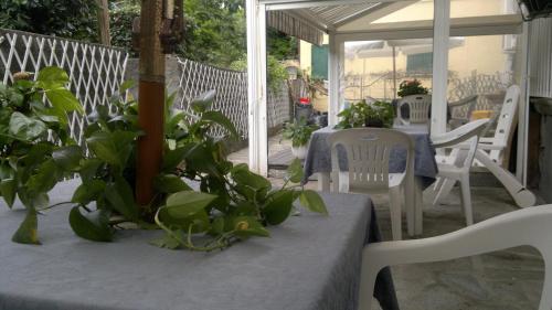Le Conchiglie - Levanto