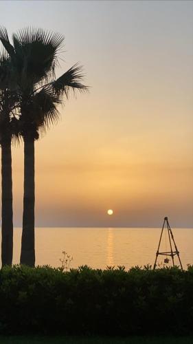 10 Best Beach Resorts In Jiyeh, Lebanon - Updated 2024 | Trip101