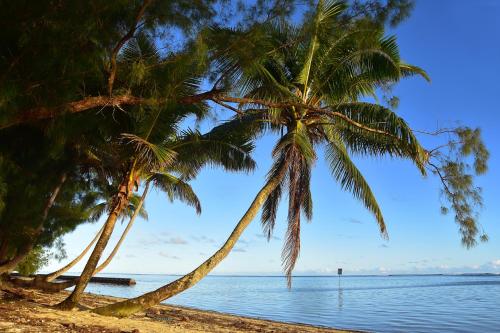 Muri Beach Haven - Rarotonga, Cook Islands - Updated 2026: Prices and ...