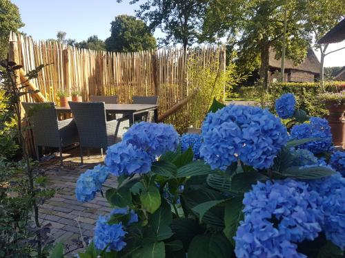 Ermerhoek: Op De Deel - Emmen, Niederlande