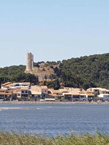 Chalet Typique 50 M De La Mer - Gruissan