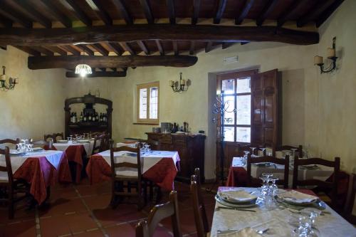 Bernardone - Camaiore