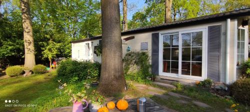 Boshuisje - Wageningen