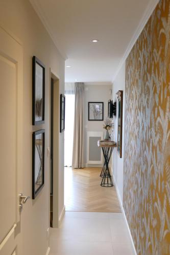 Les Agapanthes - Tournai