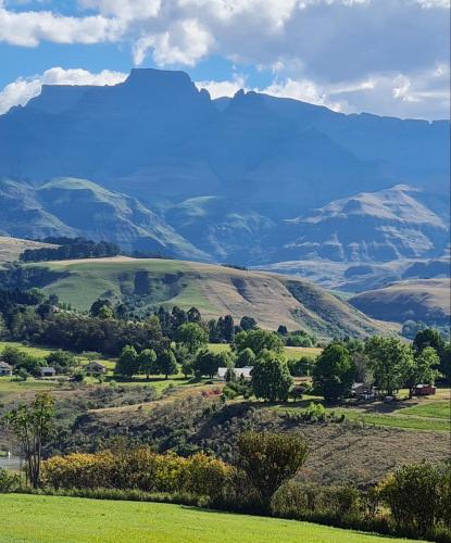 Inqevu in Uthukela District Municipality | 2024 Updated prices, deals ...