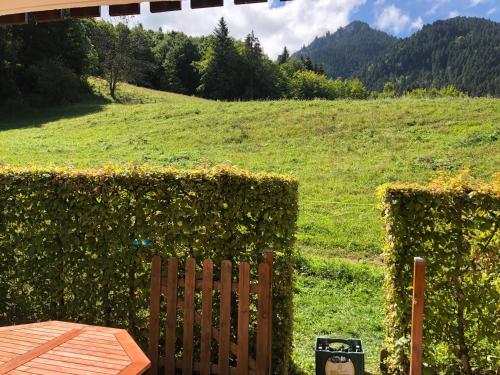 Appartement 2 Pieces Pieds Des Pistes Terrasse Face A La Montagne - Bernex