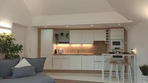 Petite Propriete De Prestige Entre Paris Et Disneyland - Noisy-le-Grand