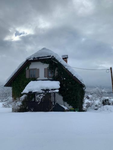 Magical Family Home 84 - Stara Fužina