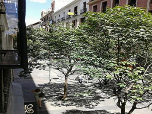 Hostal Ginebra -Madrid Centro Gran Via Sol- - Madrid