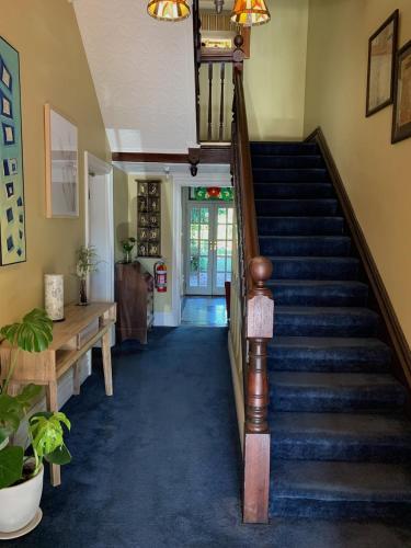 Avon Terrace Guest House - York