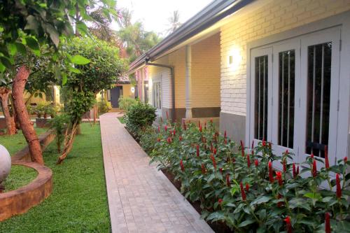 10 Best Beach Resorts Near Colombo, Sri Lanka - Updated 2024 | Trip101