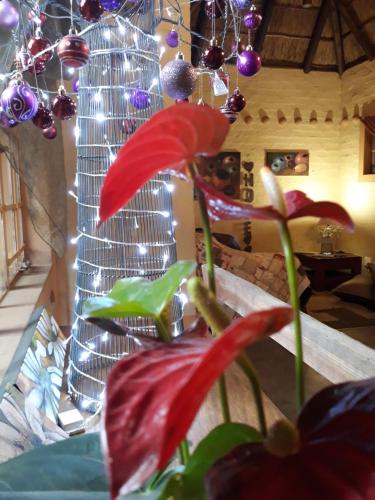 African Silhouette Guesthouse - Kempton Park