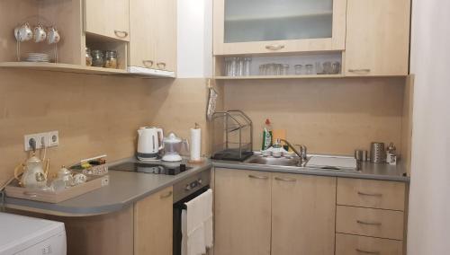 Karastoyanovi's Apartment - Sofía