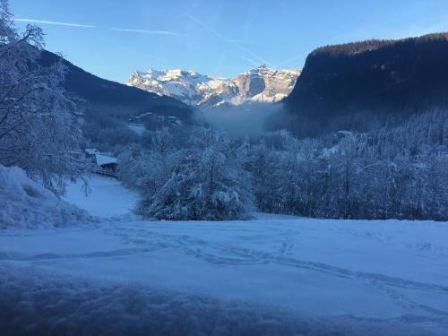 Vallee De Chamonix Au Pied Des Pistes - Les Houches