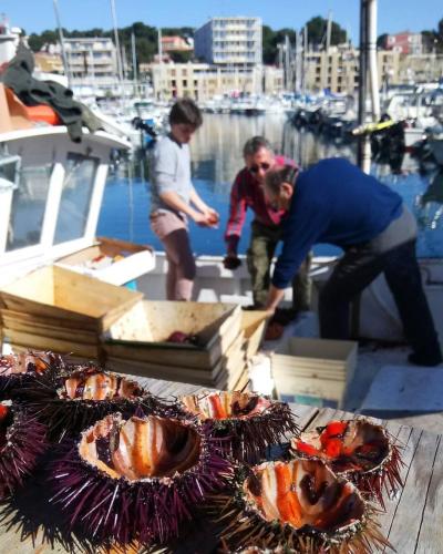 200m De La Plage ,3mn Du Port A 50m Du Centre Ville - Carry-le-Rouet