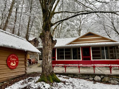 Beary Relaxing Cabin - Rustic With Outdoor Patio - Calderwood Lake, TN