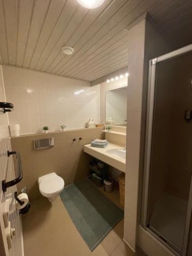 Hundefreundliche Bergwohnung Neben Der Skipiste - Mittelstation Skigebiet Gerlitzen - Villach