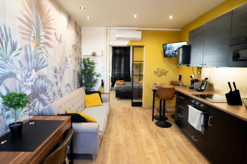 Capsule Premium Balneo & Home Cinema - Valenciennes