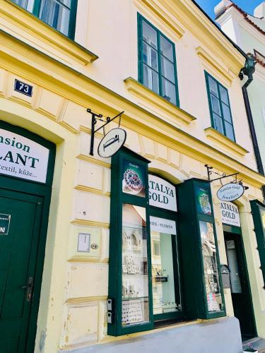 Loft Natalya Gold - Český Krumlov