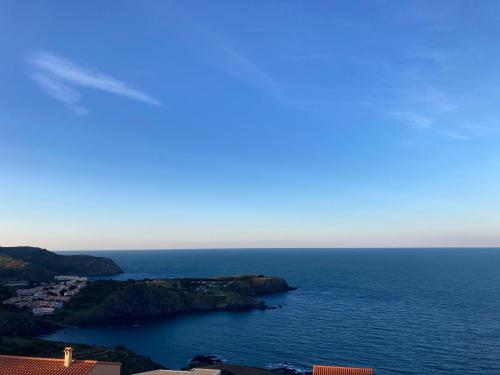 Terrimbo - Banyuls-sur-Mer