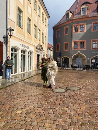 Ferienwohnung Villa Fortuna - Pirna