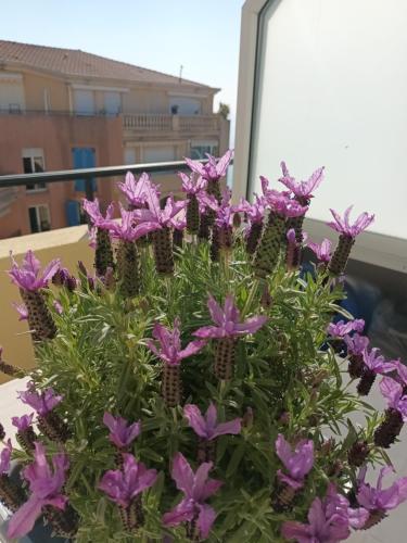Attico Victoria Palace Suggestivo E Spettacolare - Menton
