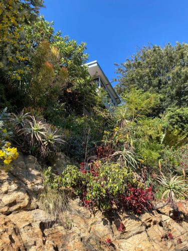 Top of the Mountain +Pool Northcliff Joburg - LINE旅遊