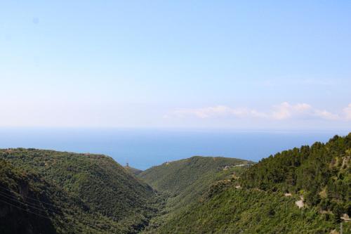 Affittacamere Pantaleone - Camerota