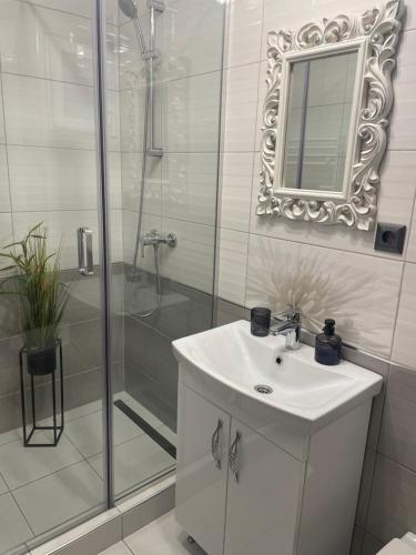Livi Apartment 1 - Satu Mare