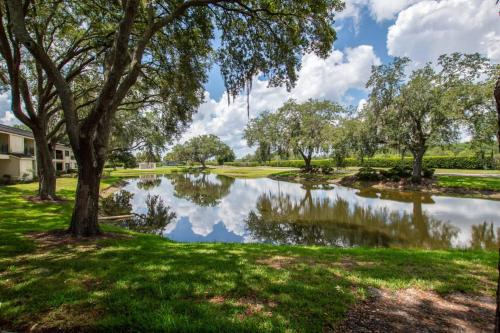 Golf And Tennis Community Studio - Peaceful Pond Paradise - Pet Friendly - Wesley Chapel, FL