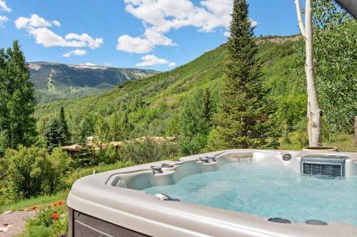 Lemond Place Home - Basalt, CO