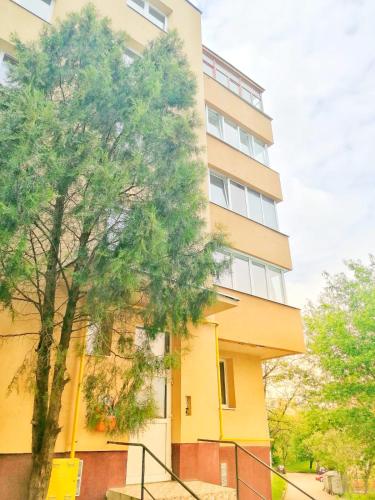 Apartment Niceview - Târgu Mureș